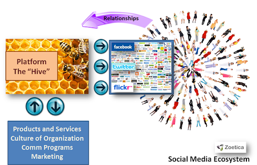 Social Media Ecosystem
